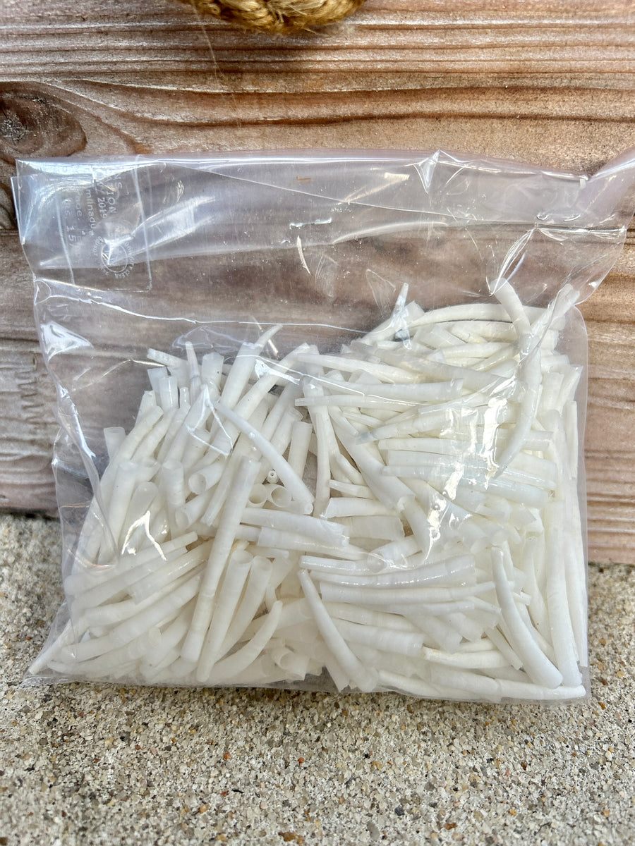 Dentalium Shells – Ella & Co. Wholesale